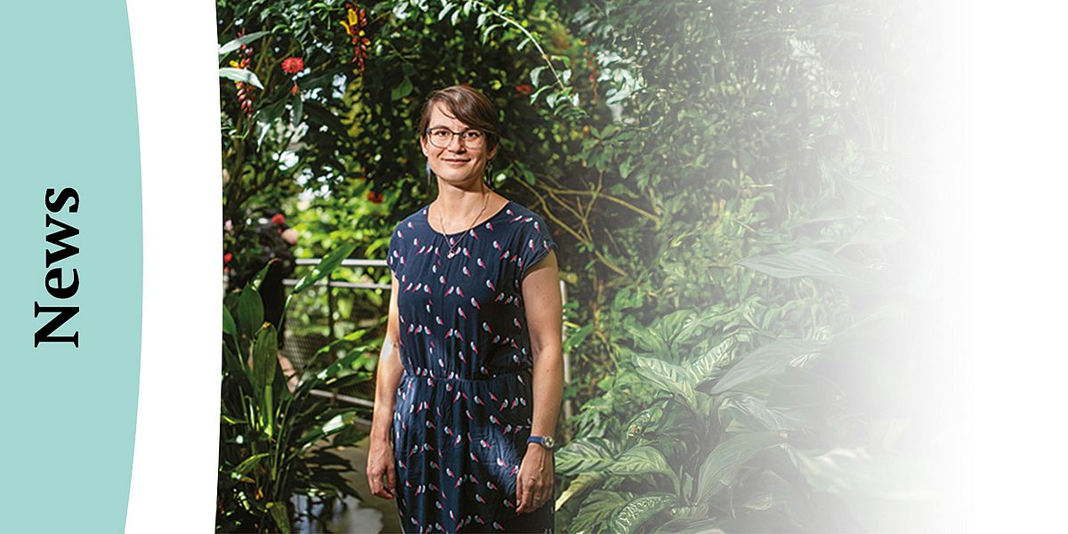 "Coffee connects us with the whole world” – On sustainability in global ...